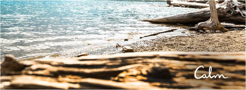 Calm Discount – Save $40 off subscription - Premium Membership Benefits